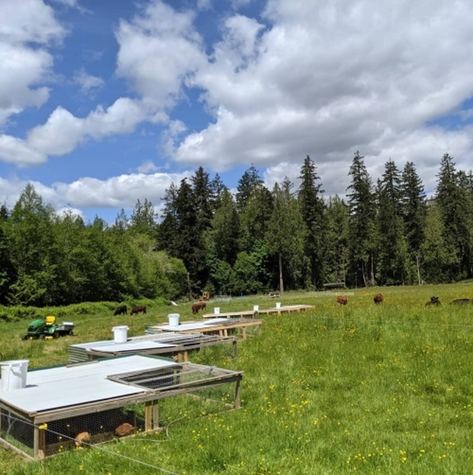 Hungry Hollow Farm | Good Meat Project