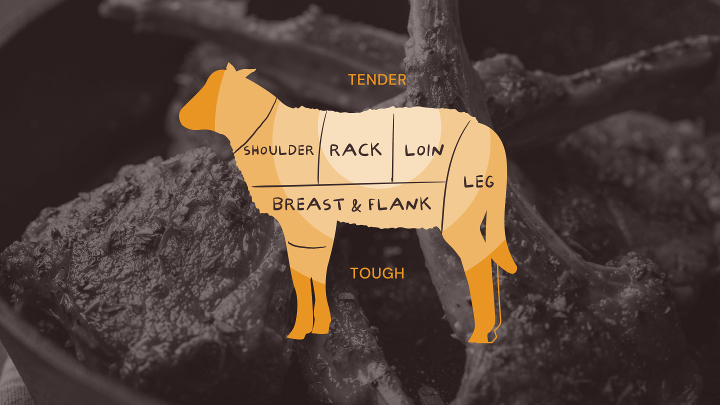 Marketing Toolkit: Lamb & Goat Bulk Buying | Good Meat Project