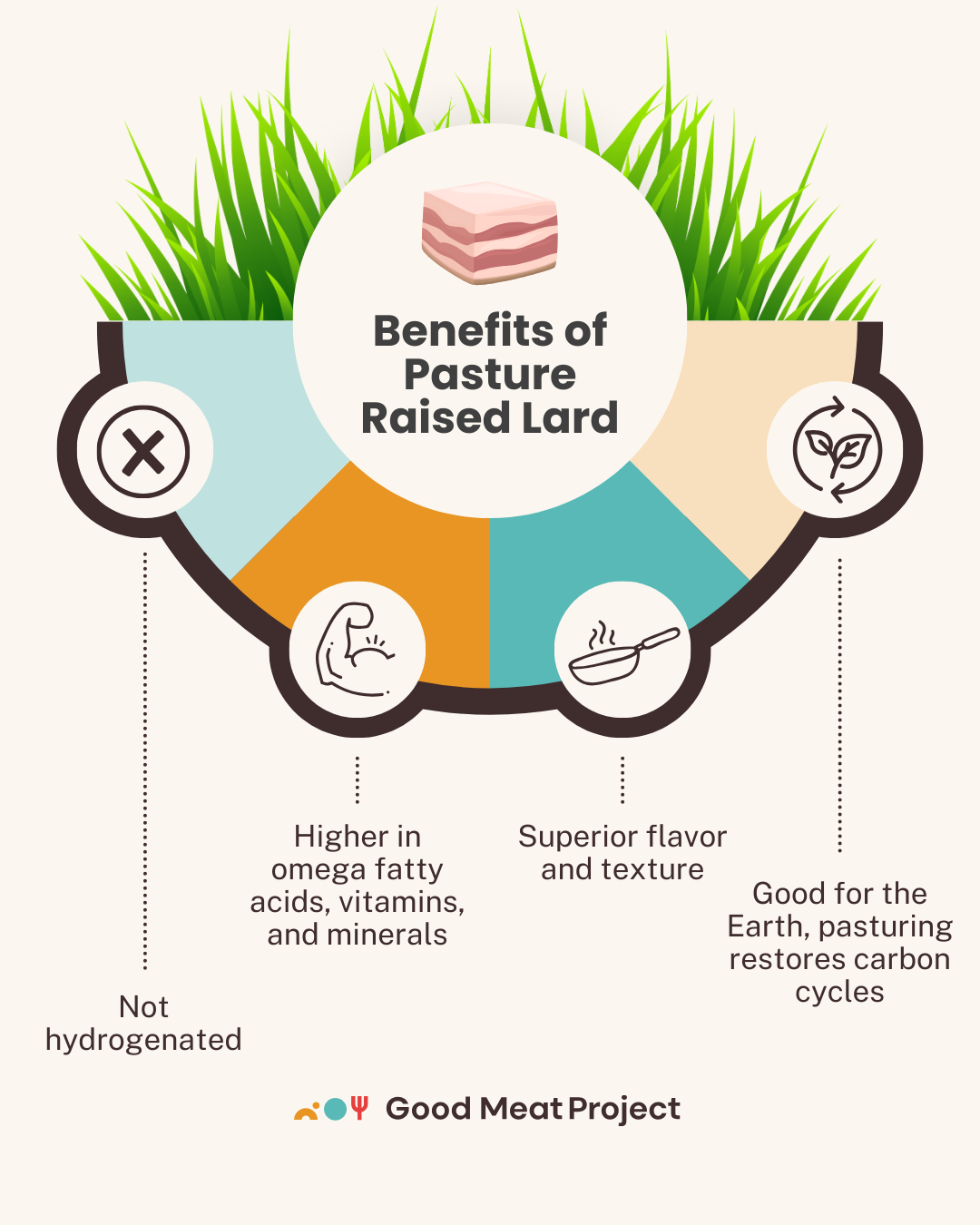 The Truth About Store-Bought vs Pasture-Raised Lard | Good Meat Project The Truth About Store-Bought vs Pasture-Raised Lard | Good Meat Project