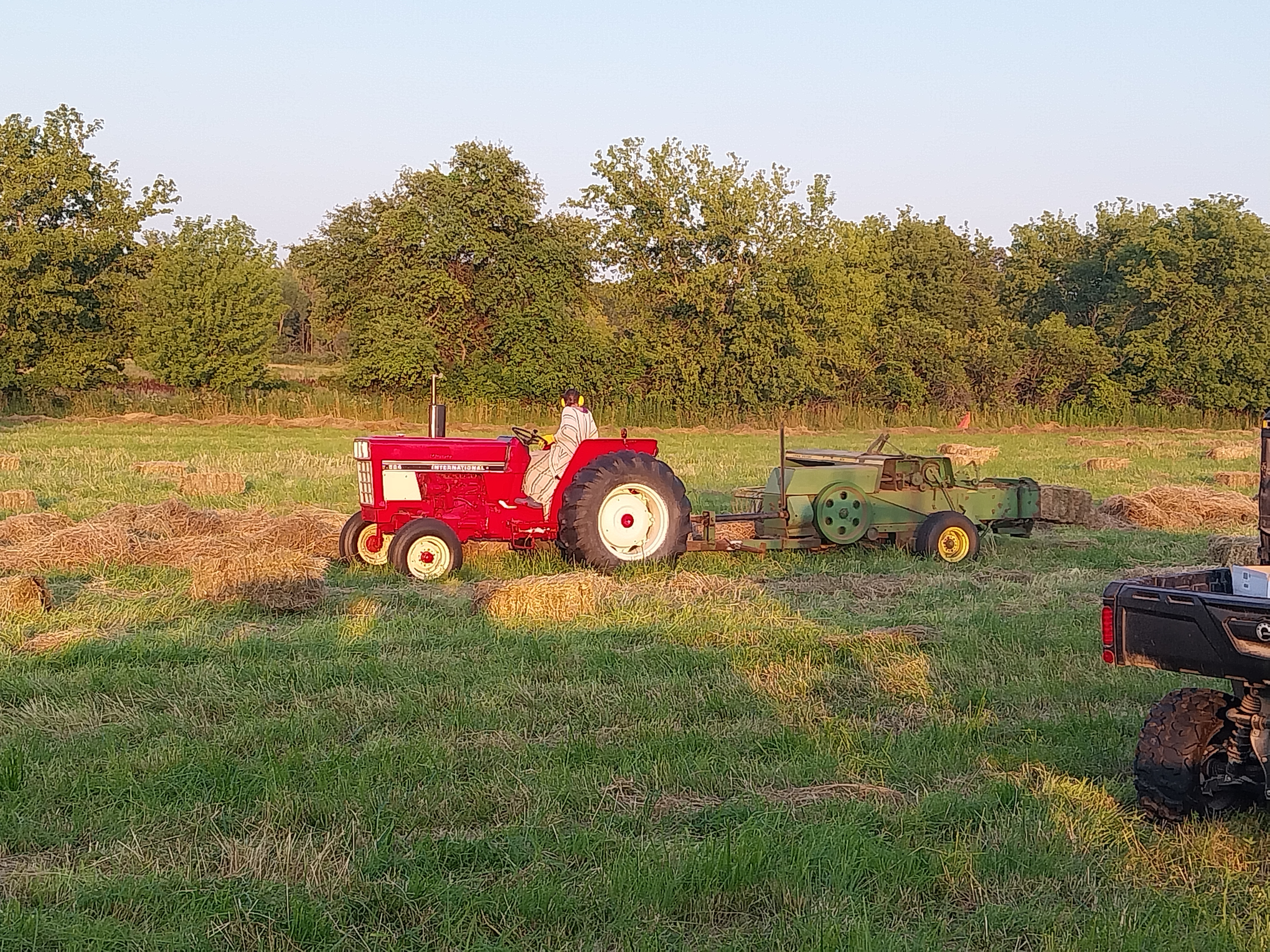 Anne Sherman | Good Meat Project