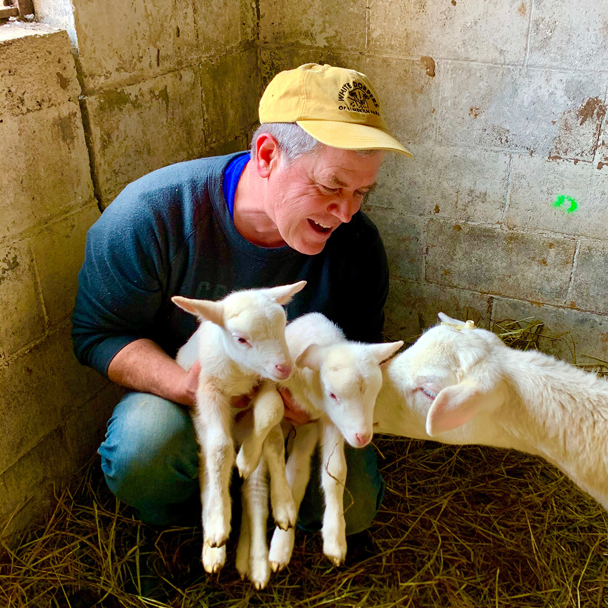 Brent Zimmerman | Good Meat Project